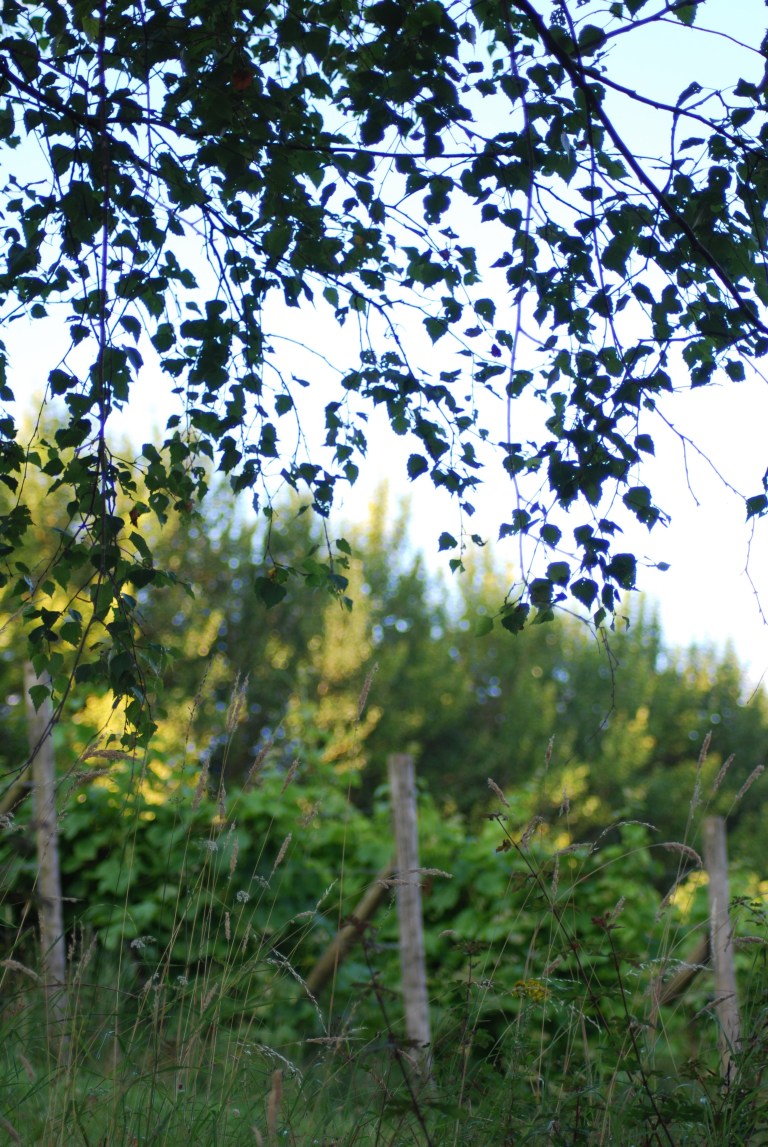 Those Hidden Finds….Frithsden Vineyard. – Promise To Carry The Cases